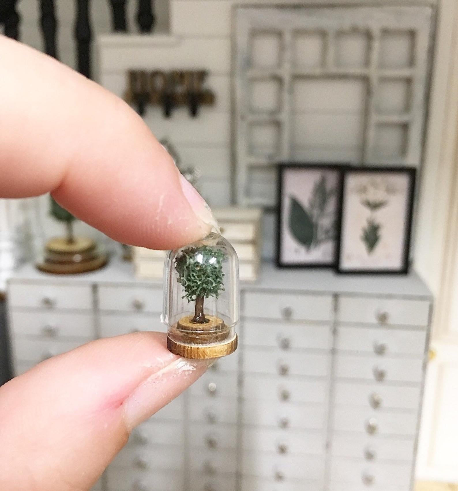 Tiny miniature farmhouse topiary dome plant – MyMiniatureEmporium